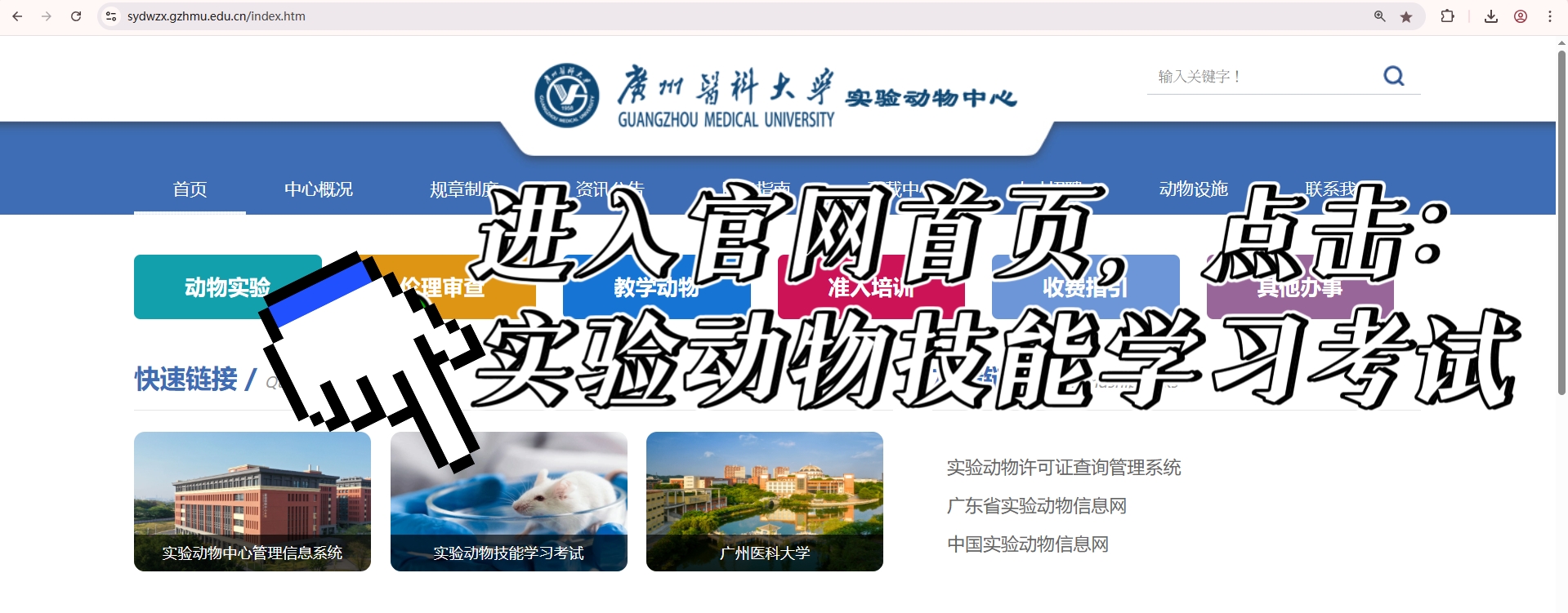 实验动物中心（越秀校区实验动物部）准入培训管理规定（2025年6月）-广州医科大学实验动物中心